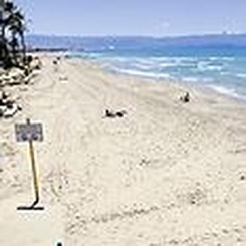 קרית ים: למה אין עמדת מציל בחוף ימית?