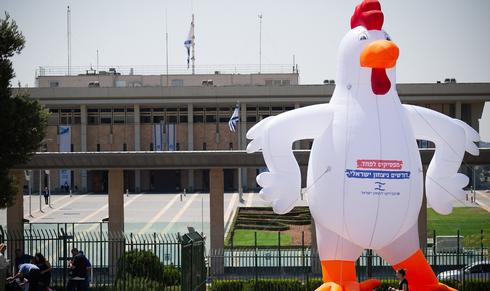Una llamativa protesta: gallina gigante es instalada frente a la Knesset